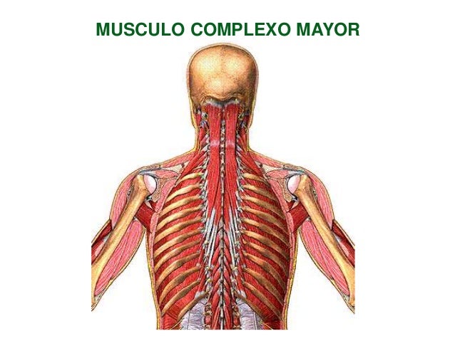 Cuello - Mind42