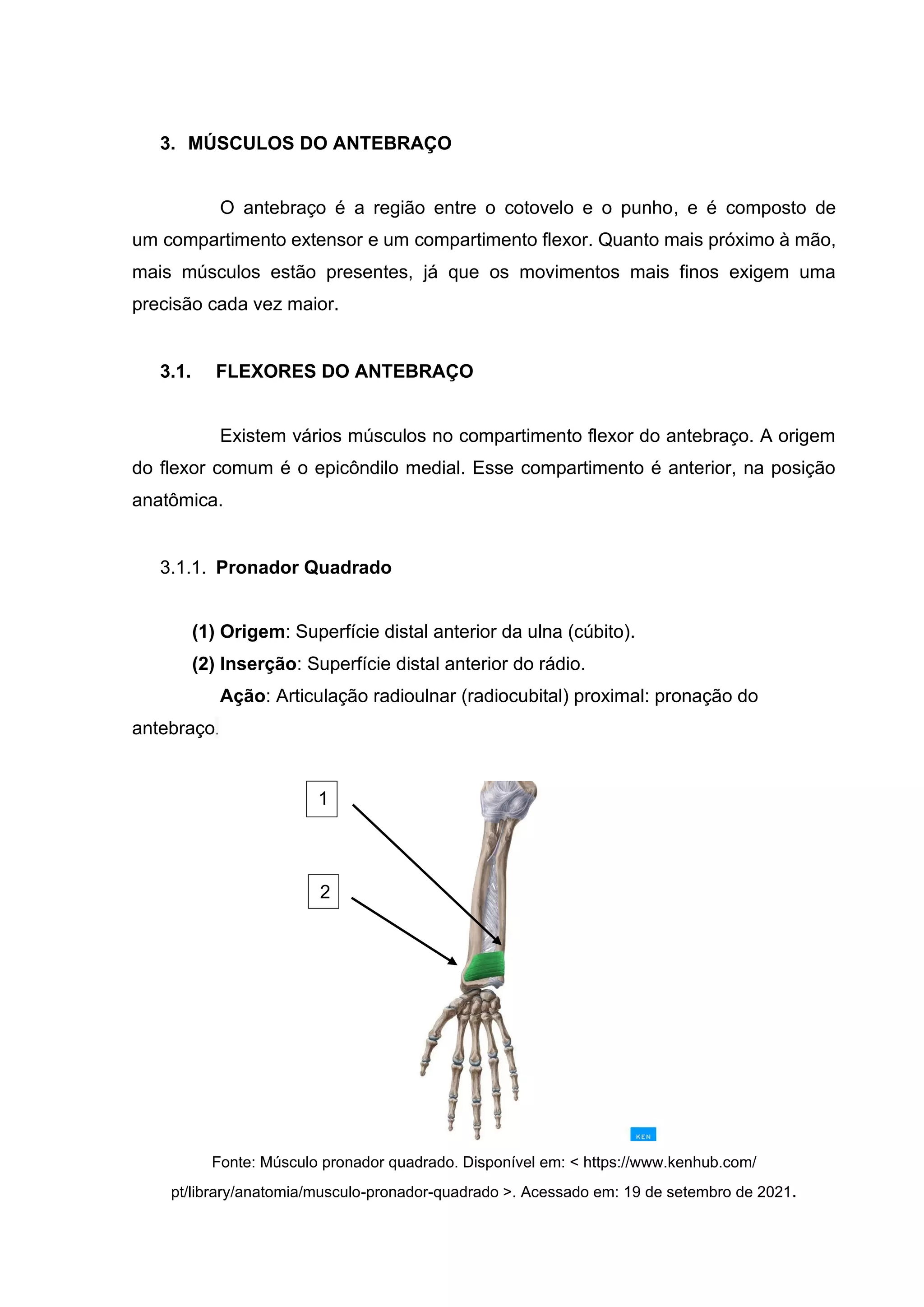 Musculos dos membros superiores | PDF