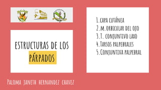 Musculos extrinsecos del ojo y parpados | PPTX