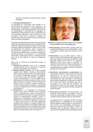 Musculos (fisioterapia en paralasis facial) | PDF