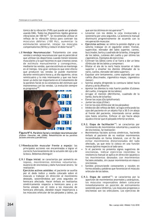 Musculos (fisioterapia en paralasis facial) | PDF