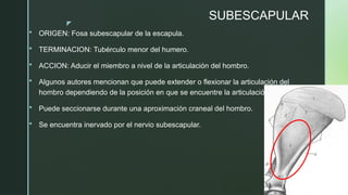 MUSCULOS INTRINSECOS DEL MIEMBRO TORACICO.pptx
