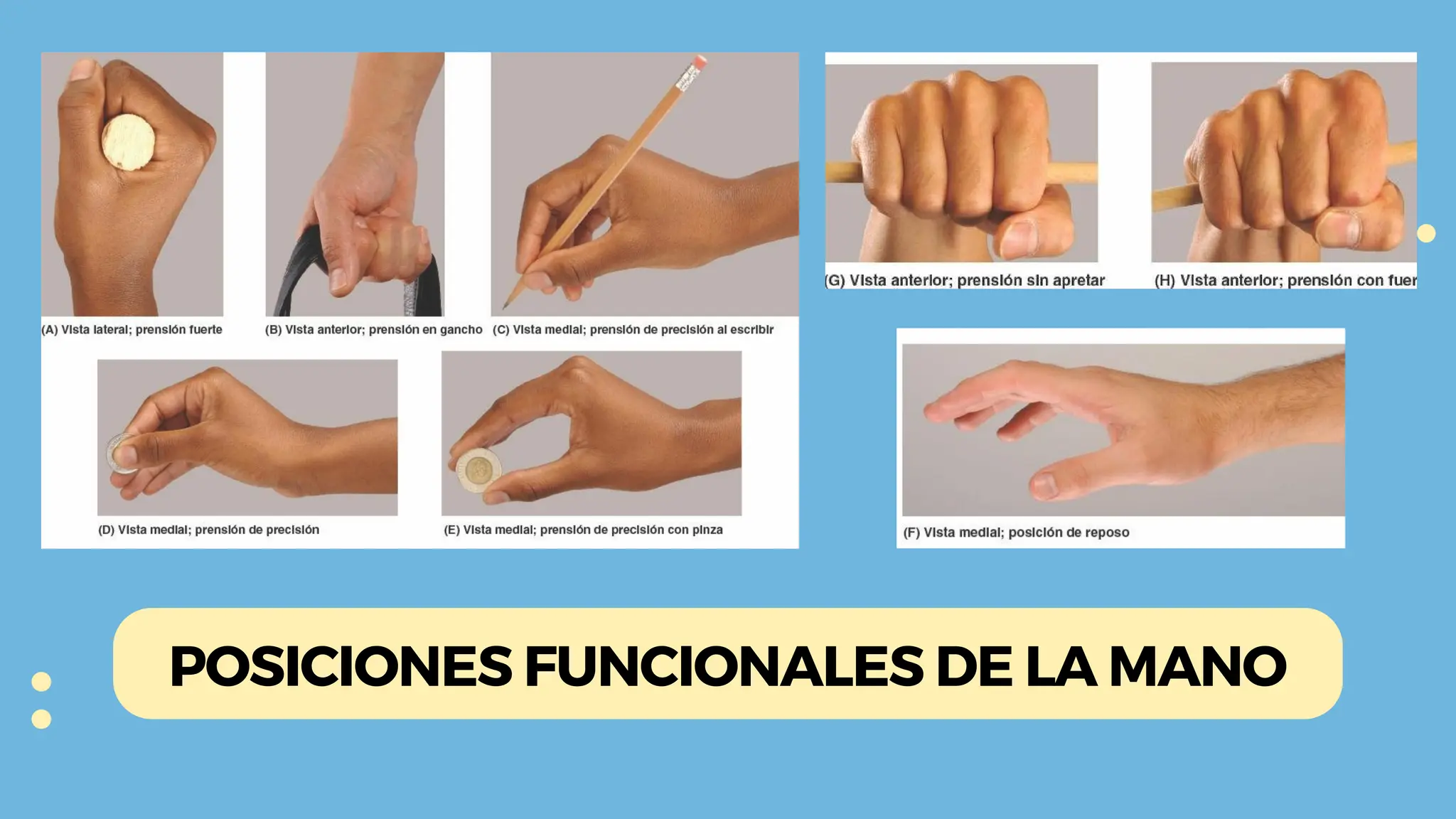 MÚSCULOS INTRINSECOS Y EXTRINSECOS DE LA MANO.pdf