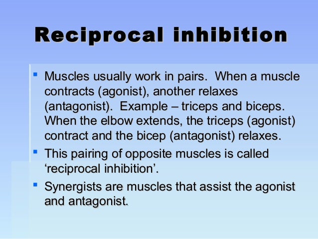 Musculoskeletal