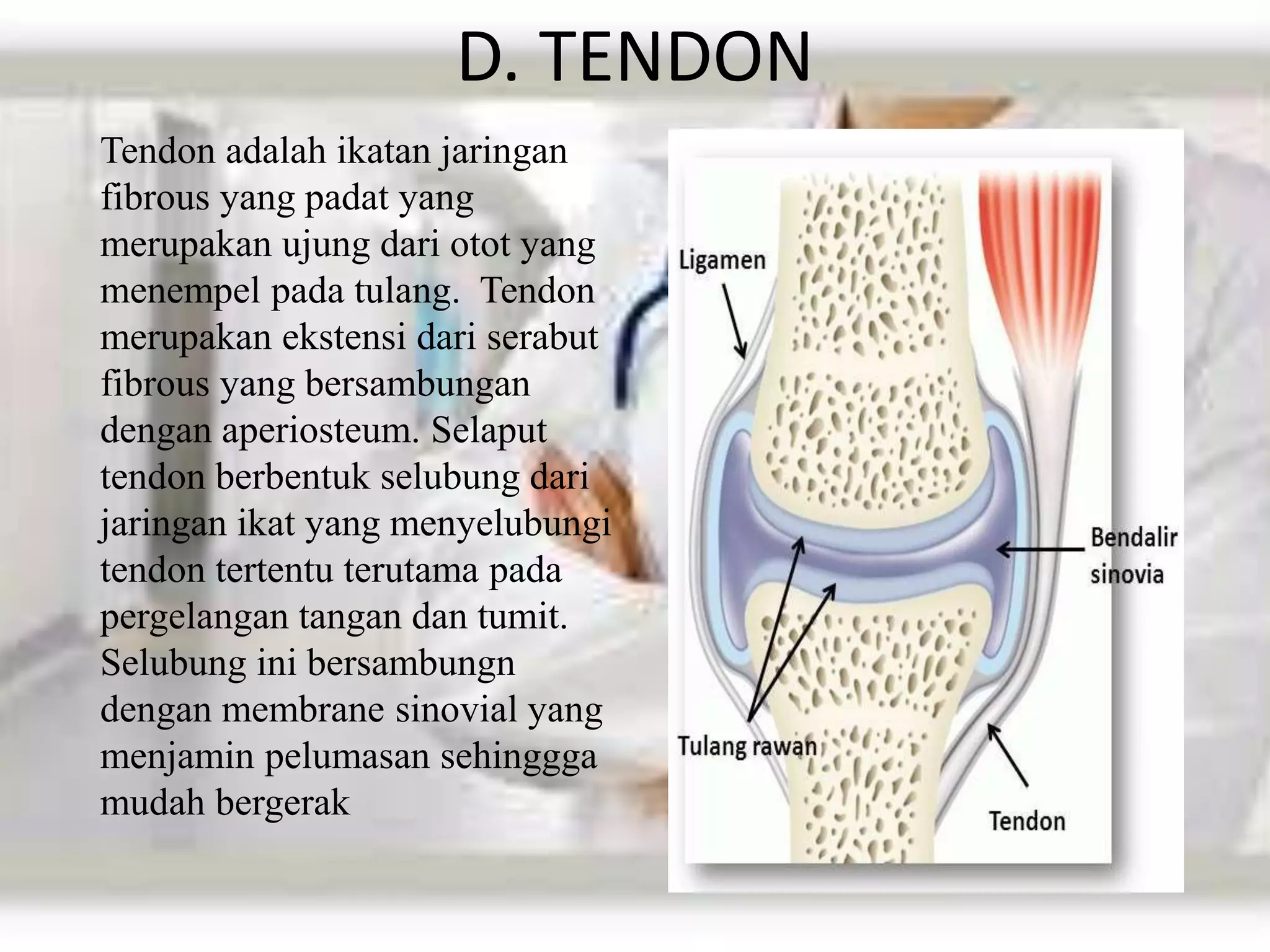 Musculoskeletal - sistem gerak tulang sendi dan otot | PPTX