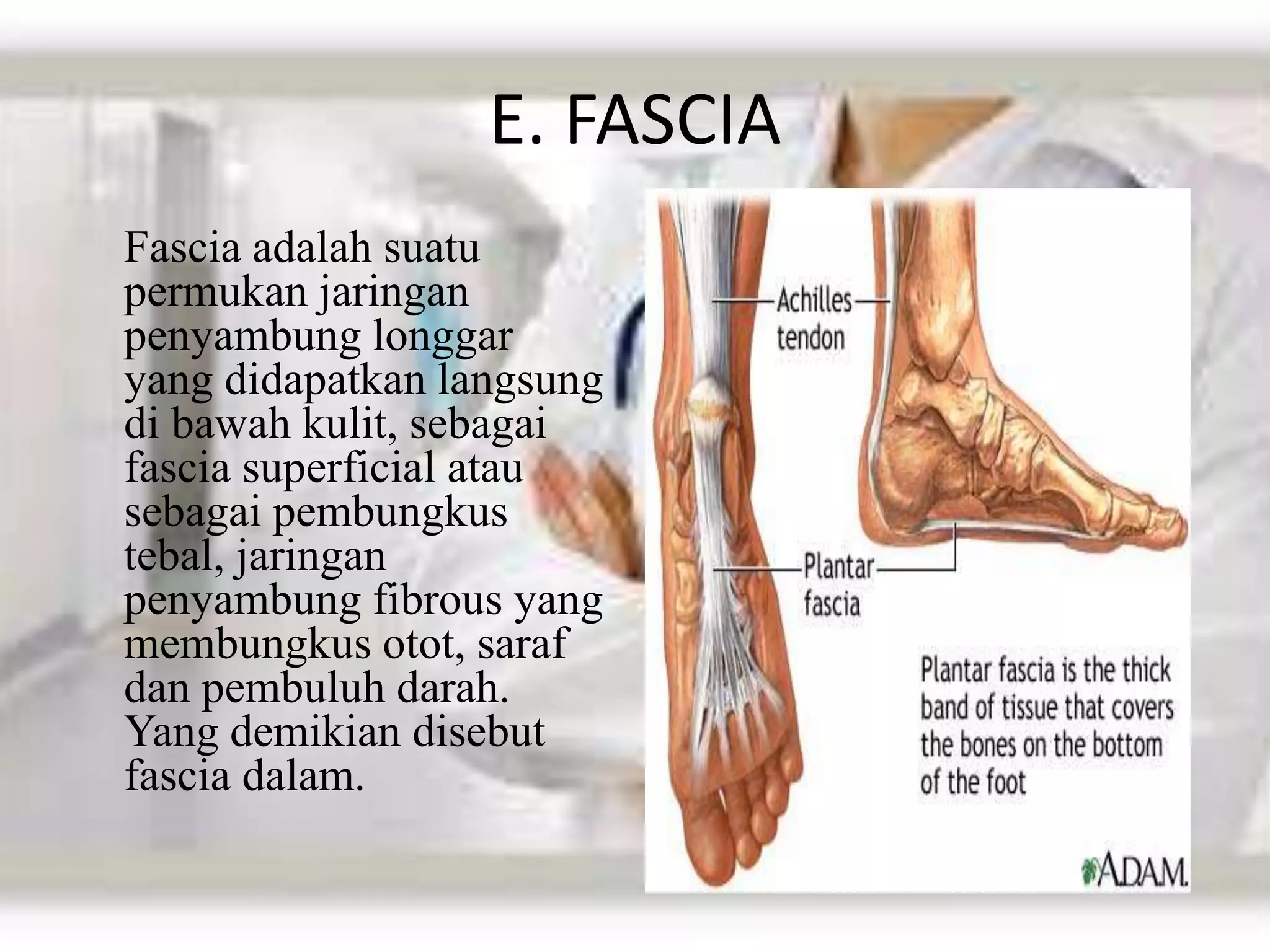 Musculoskeletal - sistem gerak tulang sendi dan otot | PPTX