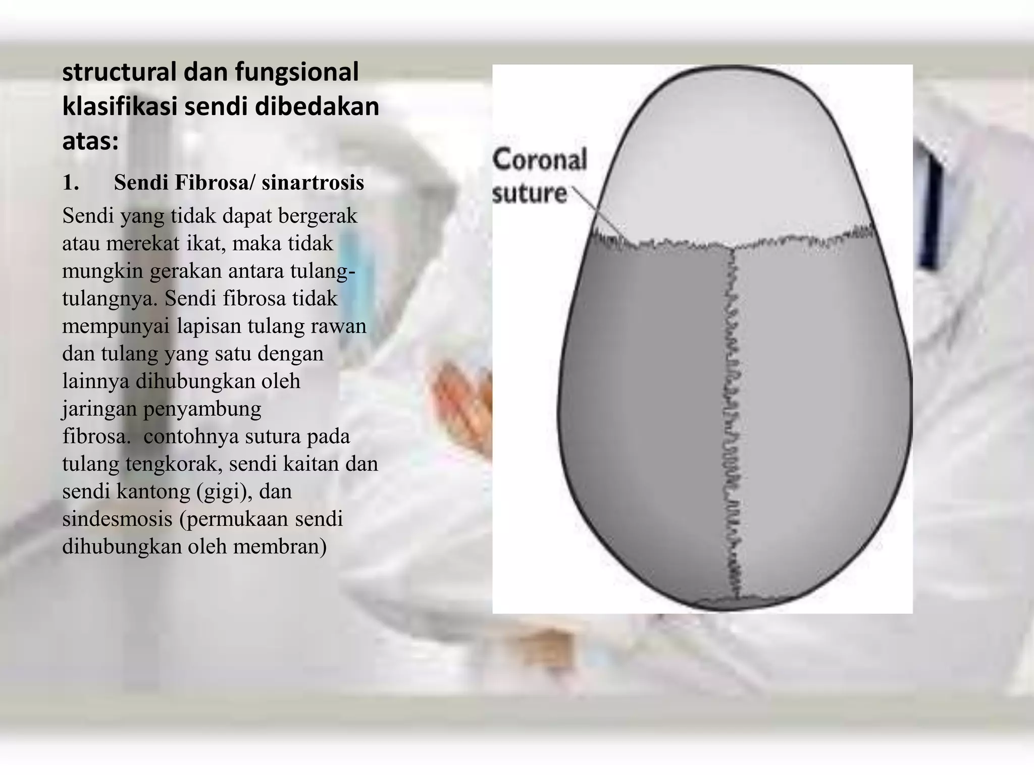 Musculoskeletal - sistem gerak tulang sendi dan otot | PPTX