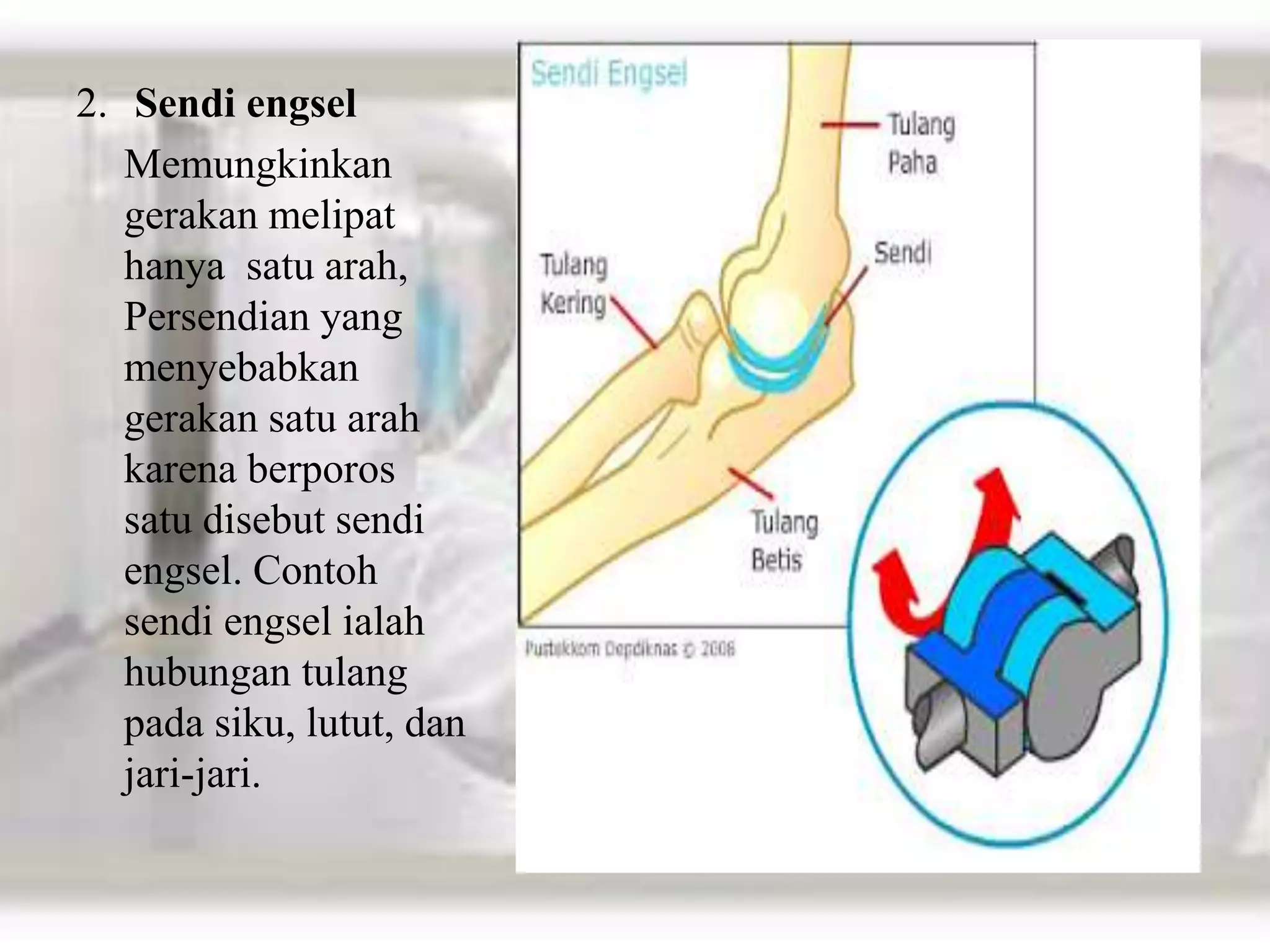 Musculoskeletal - sistem gerak tulang sendi dan otot | PPTX