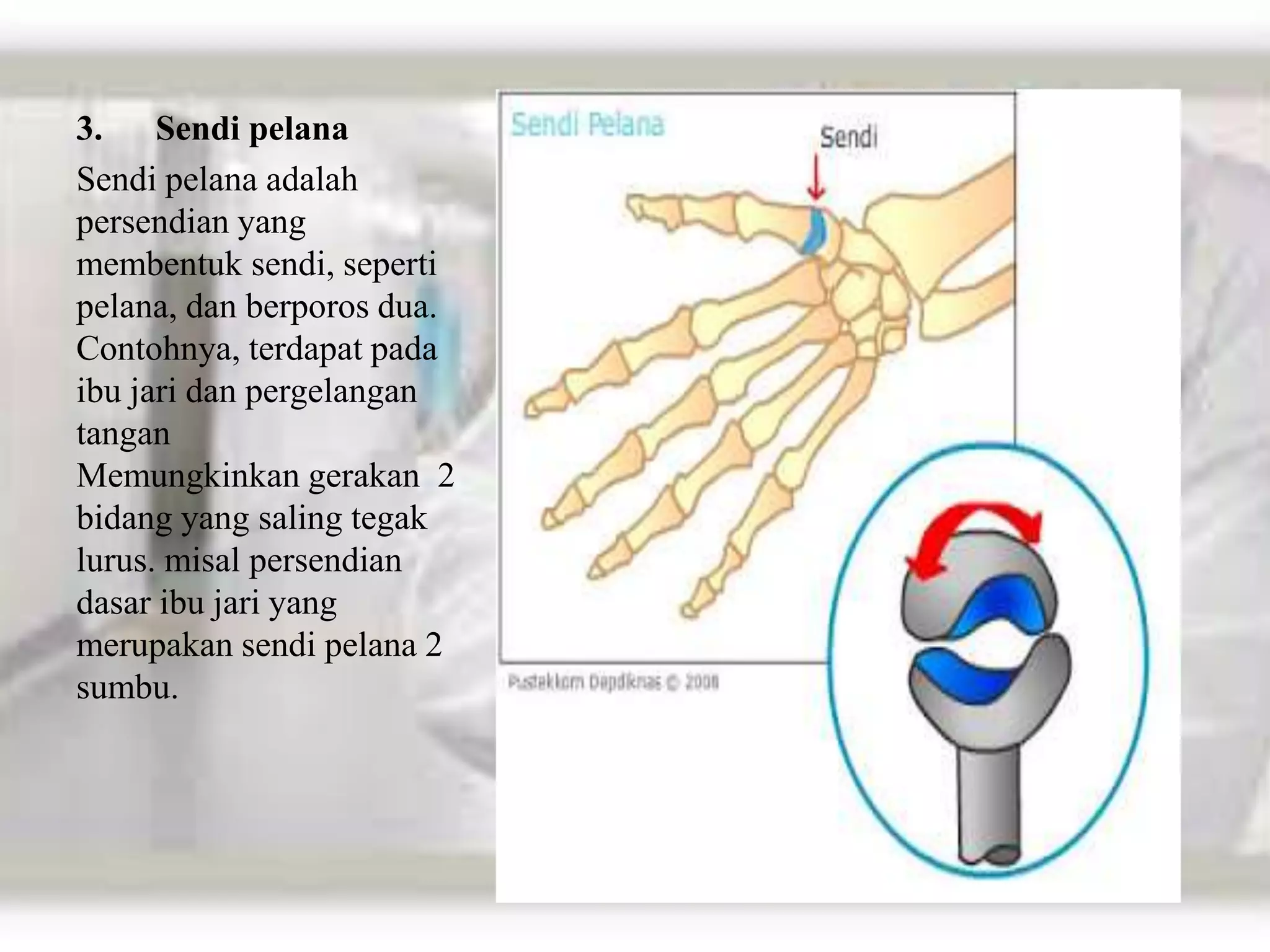 Musculoskeletal - sistem gerak tulang sendi dan otot | PPTX