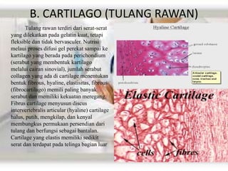 Musculoskeletal - sistem gerak tulang sendi dan otot | PPTX