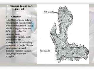 Musculoskeletal - sistem gerak tulang sendi dan otot | PPTX