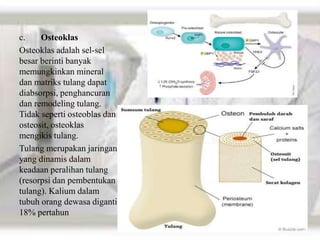 Musculoskeletal - sistem gerak tulang sendi dan otot | PPTX