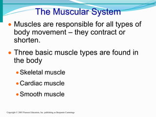 MUSCULOSKELETAL.pptx
