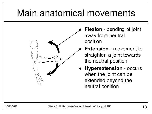 Musculoskeletal Exam