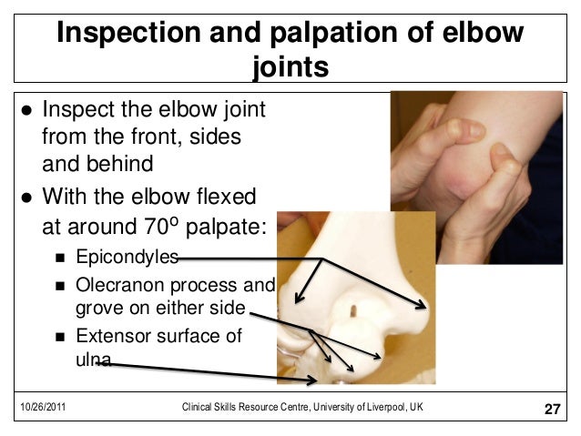 Musculoskeletal Exam