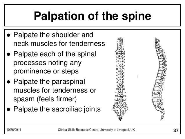 Musculoskeletal Exam