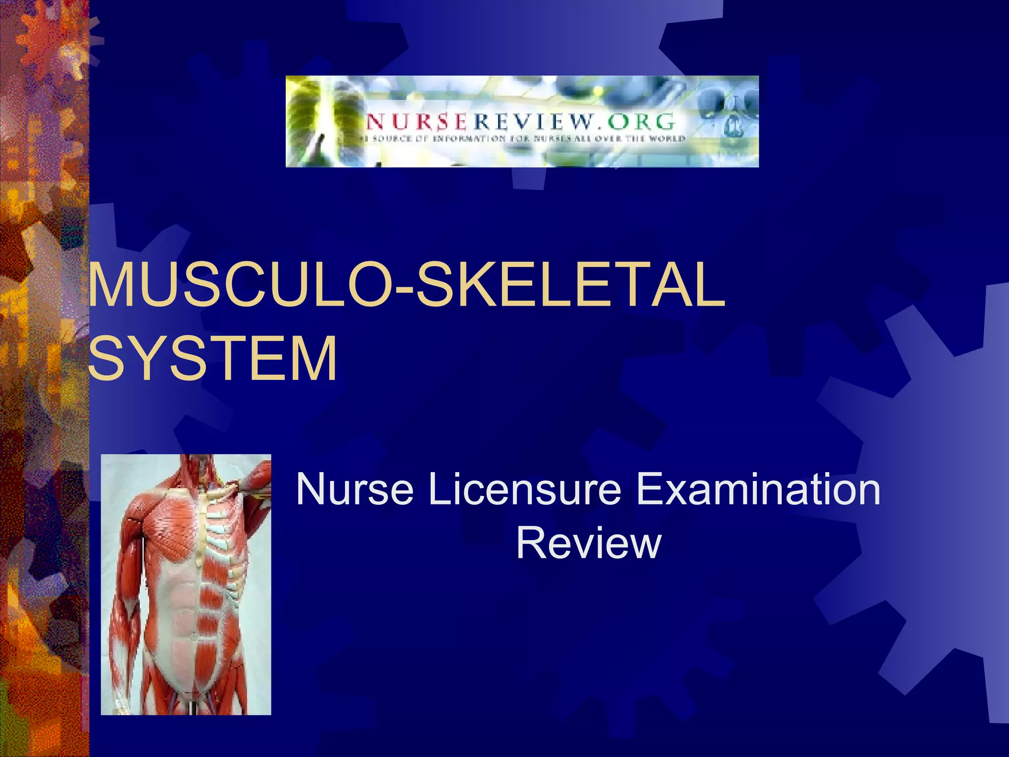 NurseReview.Org Musculoskeletal System | PPT