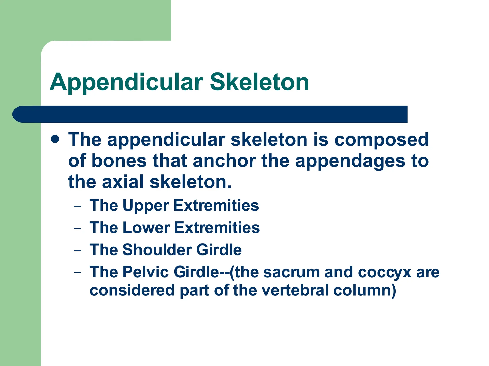 musculoskeletal-system-1206665862676641-3.pdf