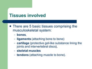 musculoskeletal-system-1206665862676641-3.pdf
