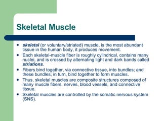 musculoskeletal-system-1206665862676641-3.pdf