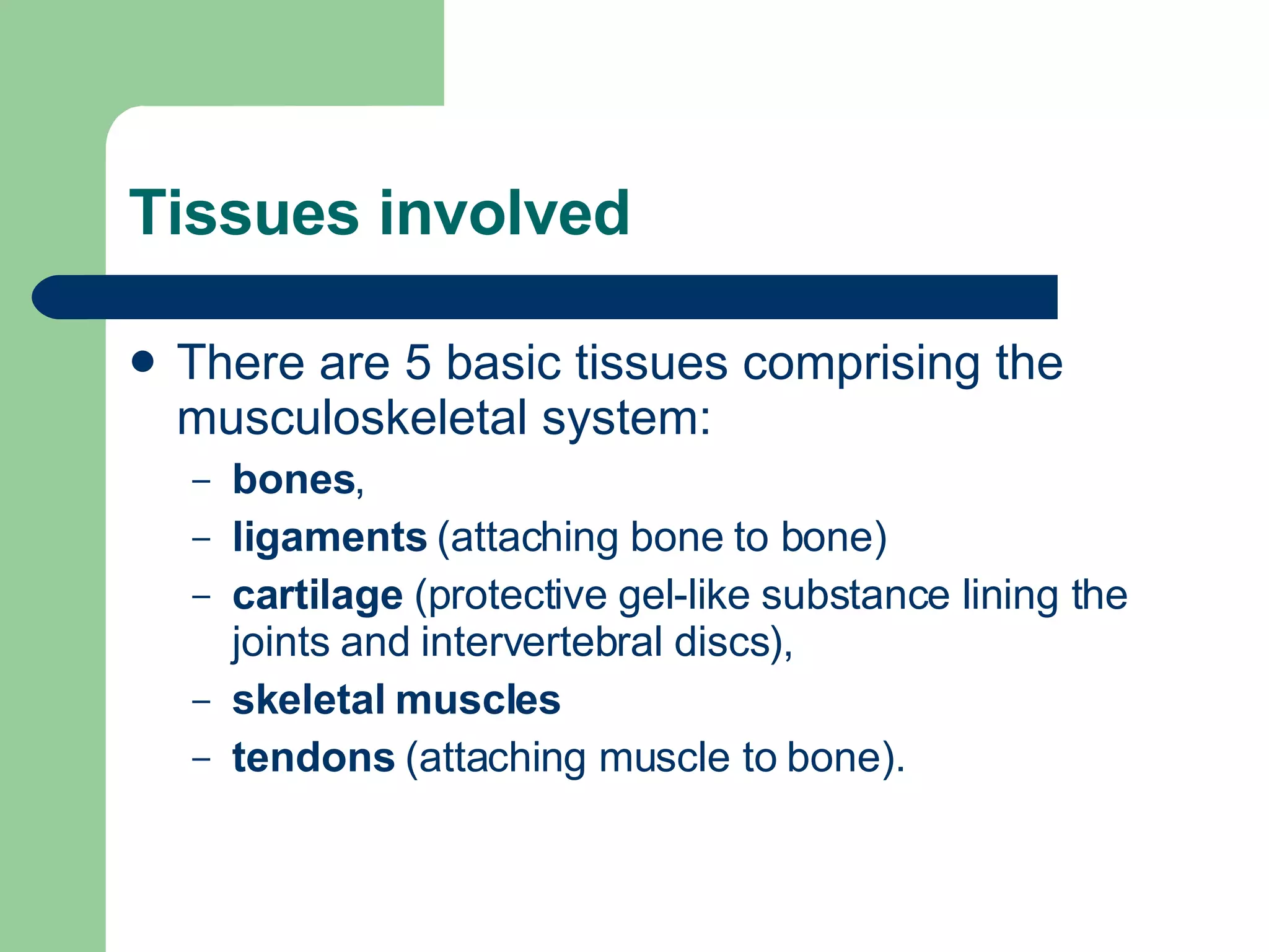 Musculoskeletal System | PPT