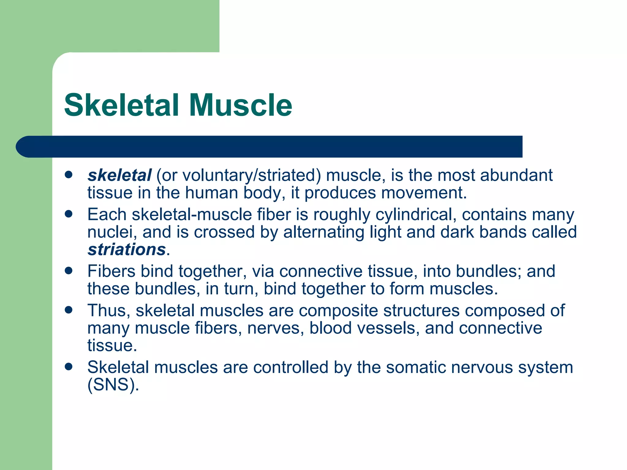 Musculoskeletal System | PPT