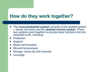 Musculoskeletal System | PPT