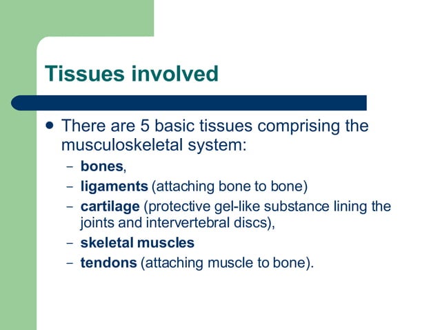 Musculoskeletal System | PPT