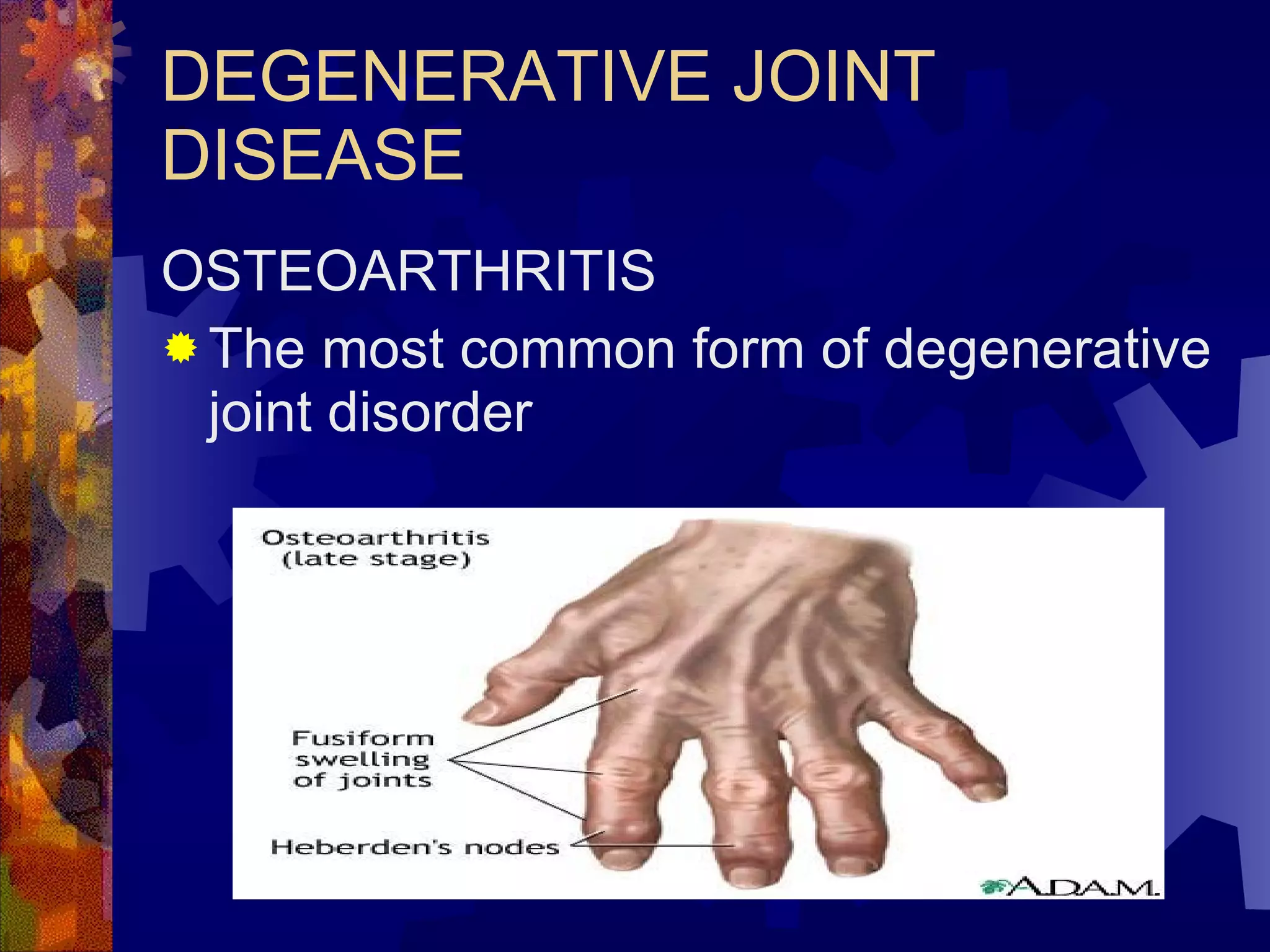 Musculoskeletal System