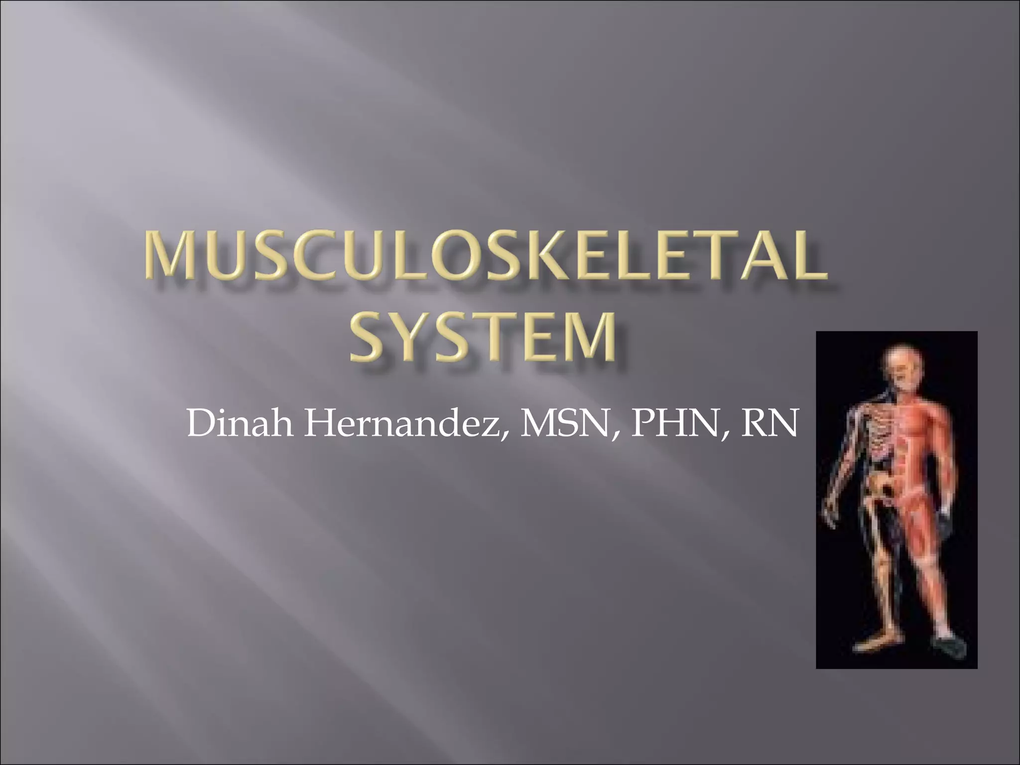 The Musculoskeletal System | PPT