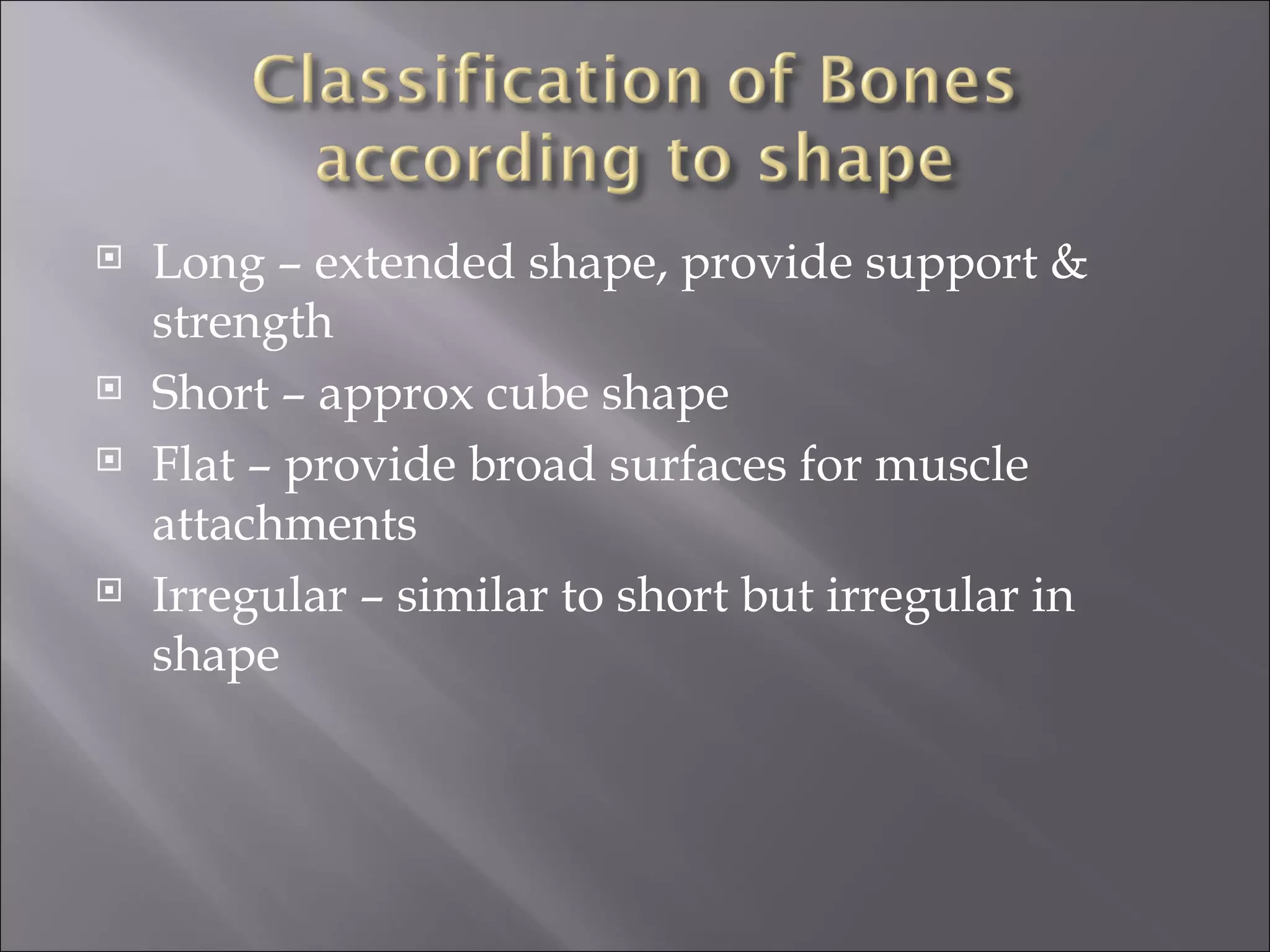 The Musculoskeletal System | PPT
