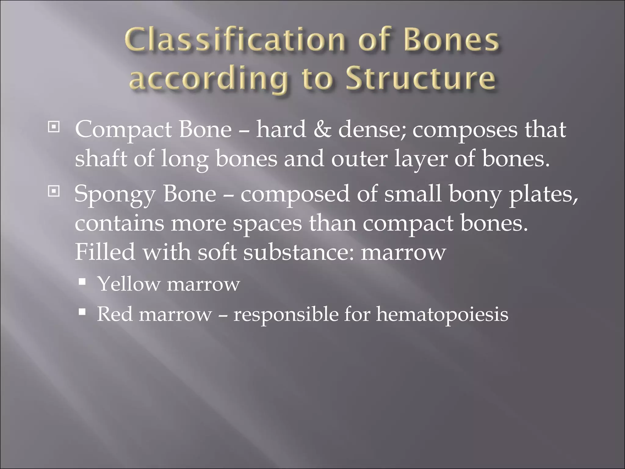 The Musculoskeletal System | PPT