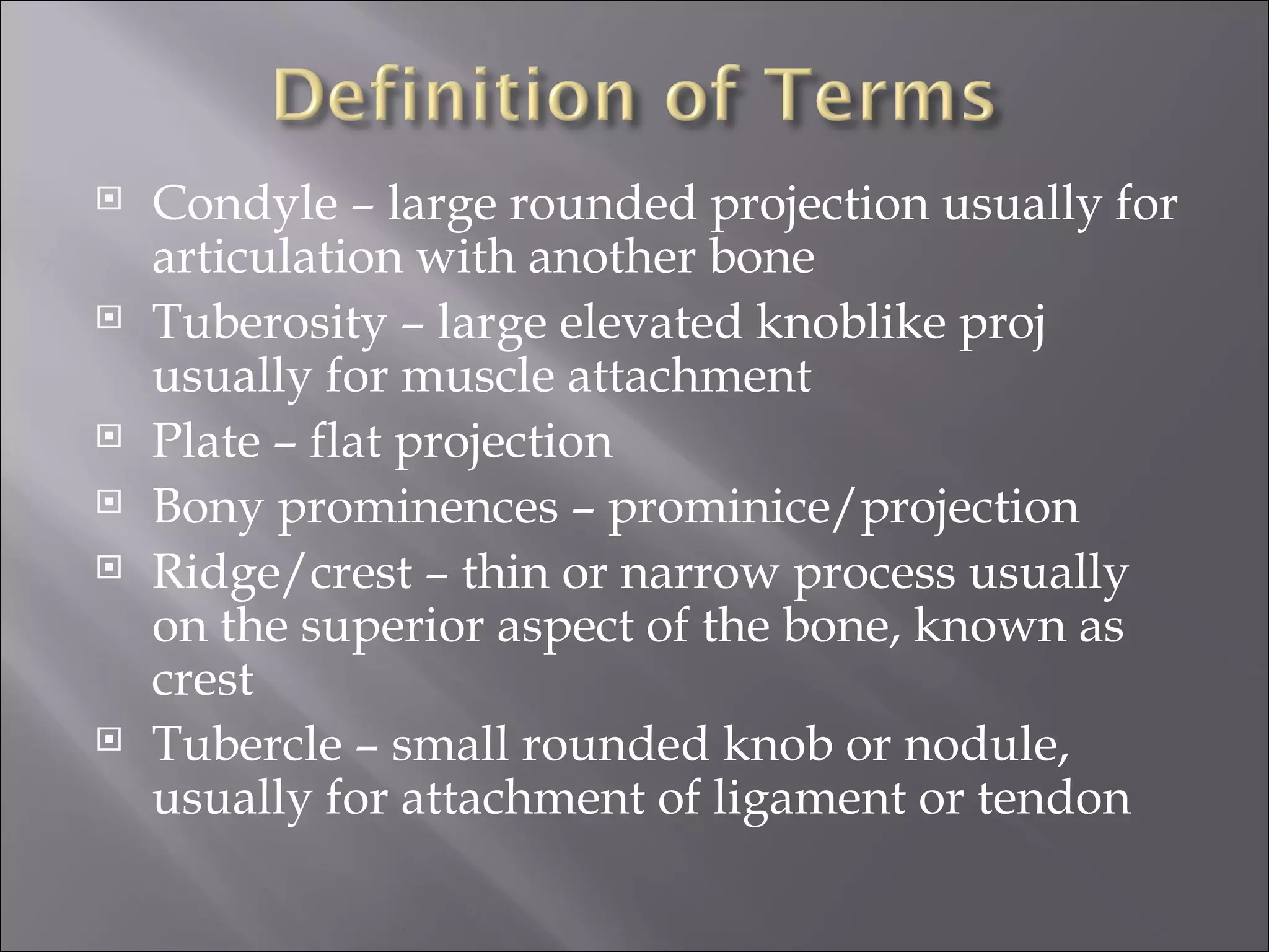 The Musculoskeletal System | PPT