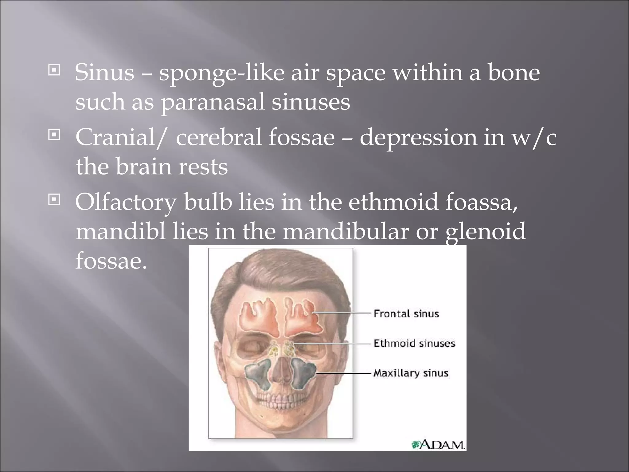 The Musculoskeletal System | PPT