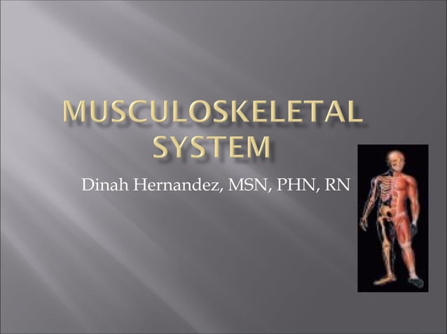 The Musculoskeletal System | PPT