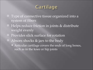 The Musculoskeletal System | PPT