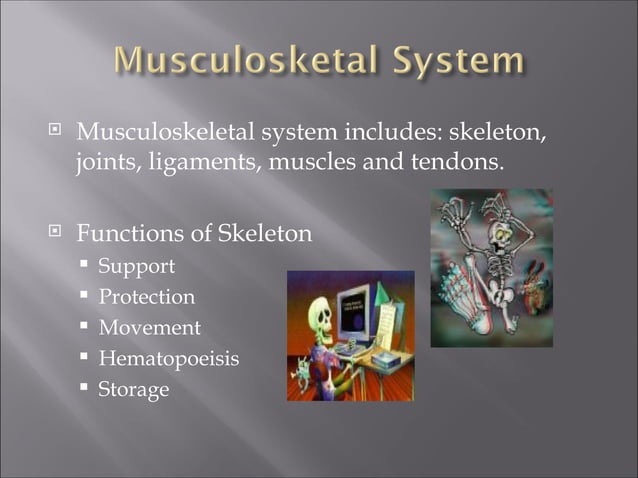 The Musculoskeletal System | PPT
