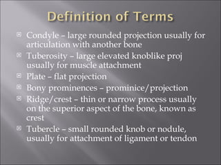 The Musculoskeletal System | PPT