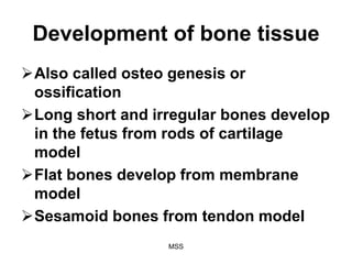 musculoskeletal- system DNM9.ppt