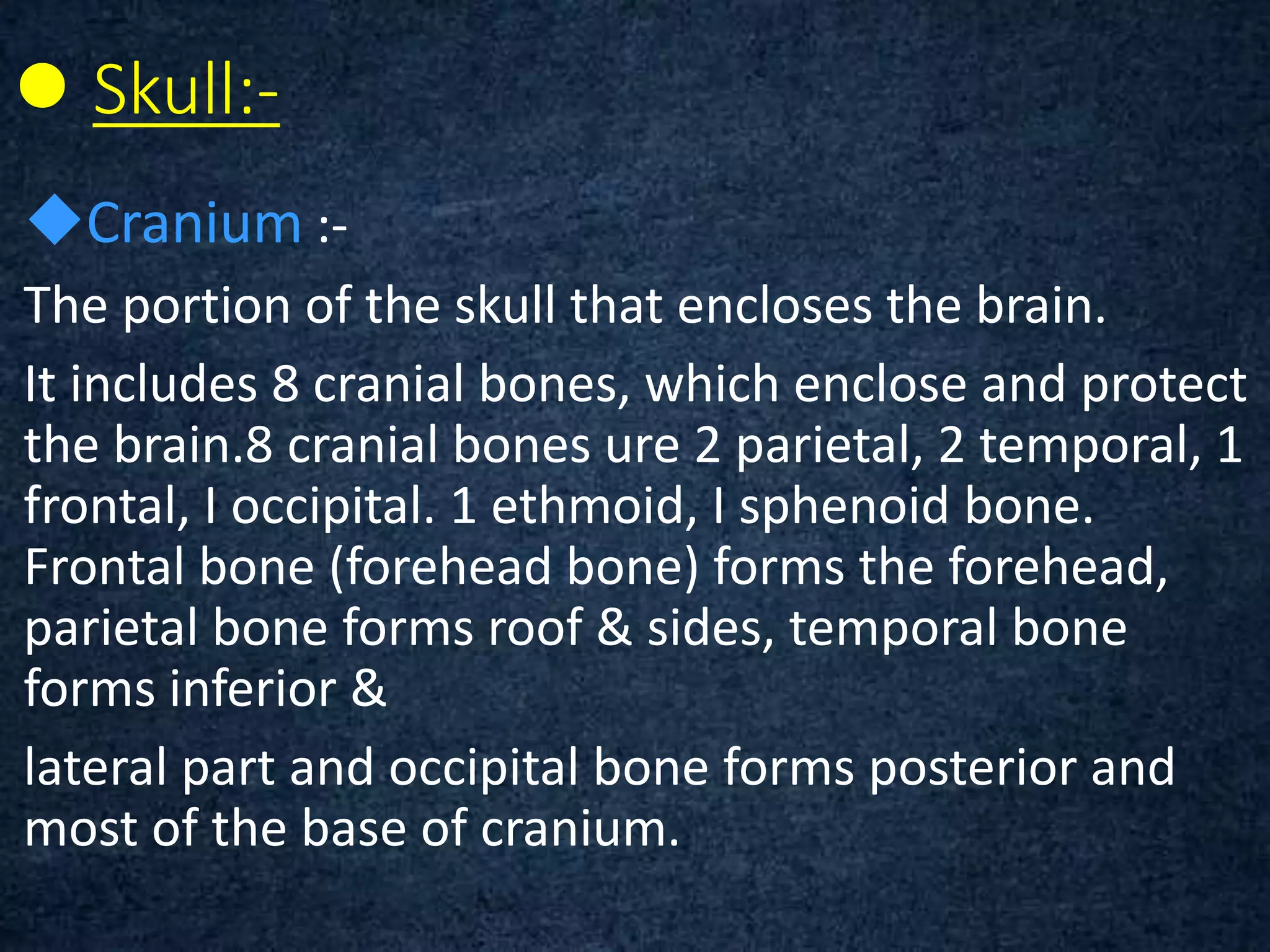 skeletal system | PPT