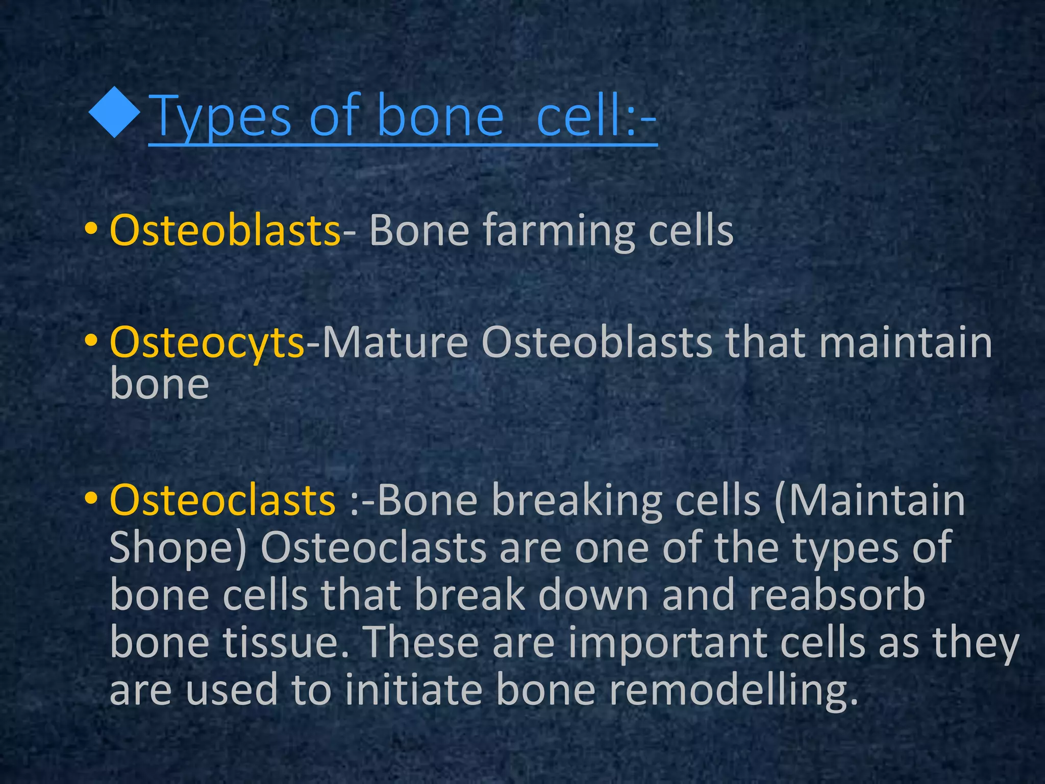skeletal system | PPT
