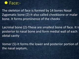 skeletal system | PPTX