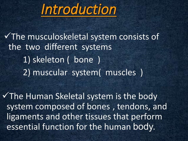 skeletal system | PPT