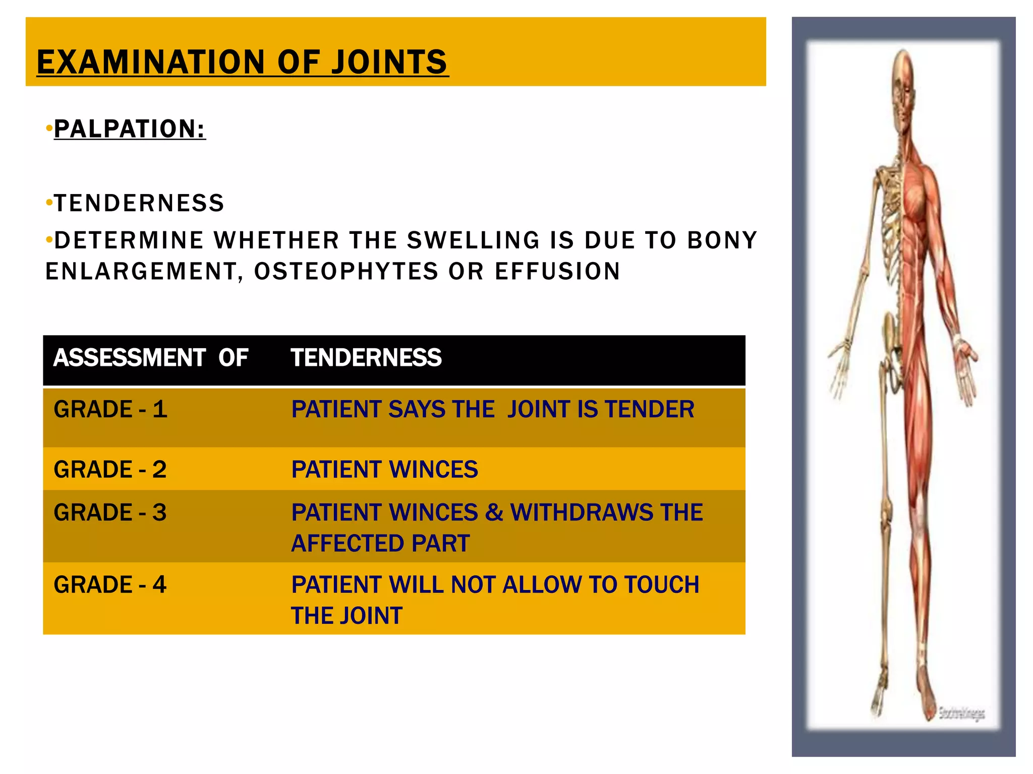 MUSCULOSKELETAL%20SYSTEM.pptx | Death, Injury, or Military Conflict | Sensitive Topics