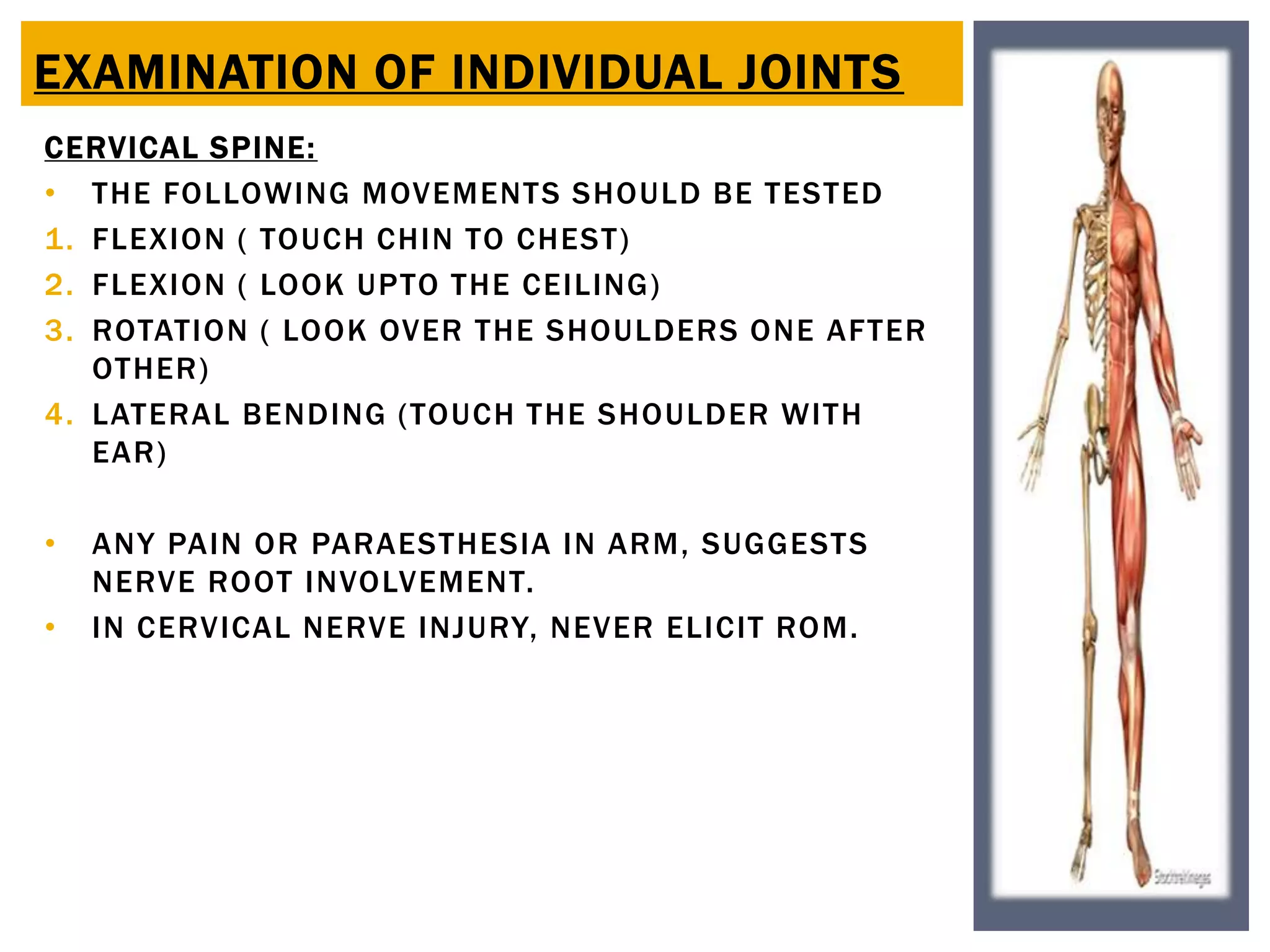 MUSCULOSKELETAL%20SYSTEM.pptx | Death, Injury, or Military Conflict | Sensitive Topics