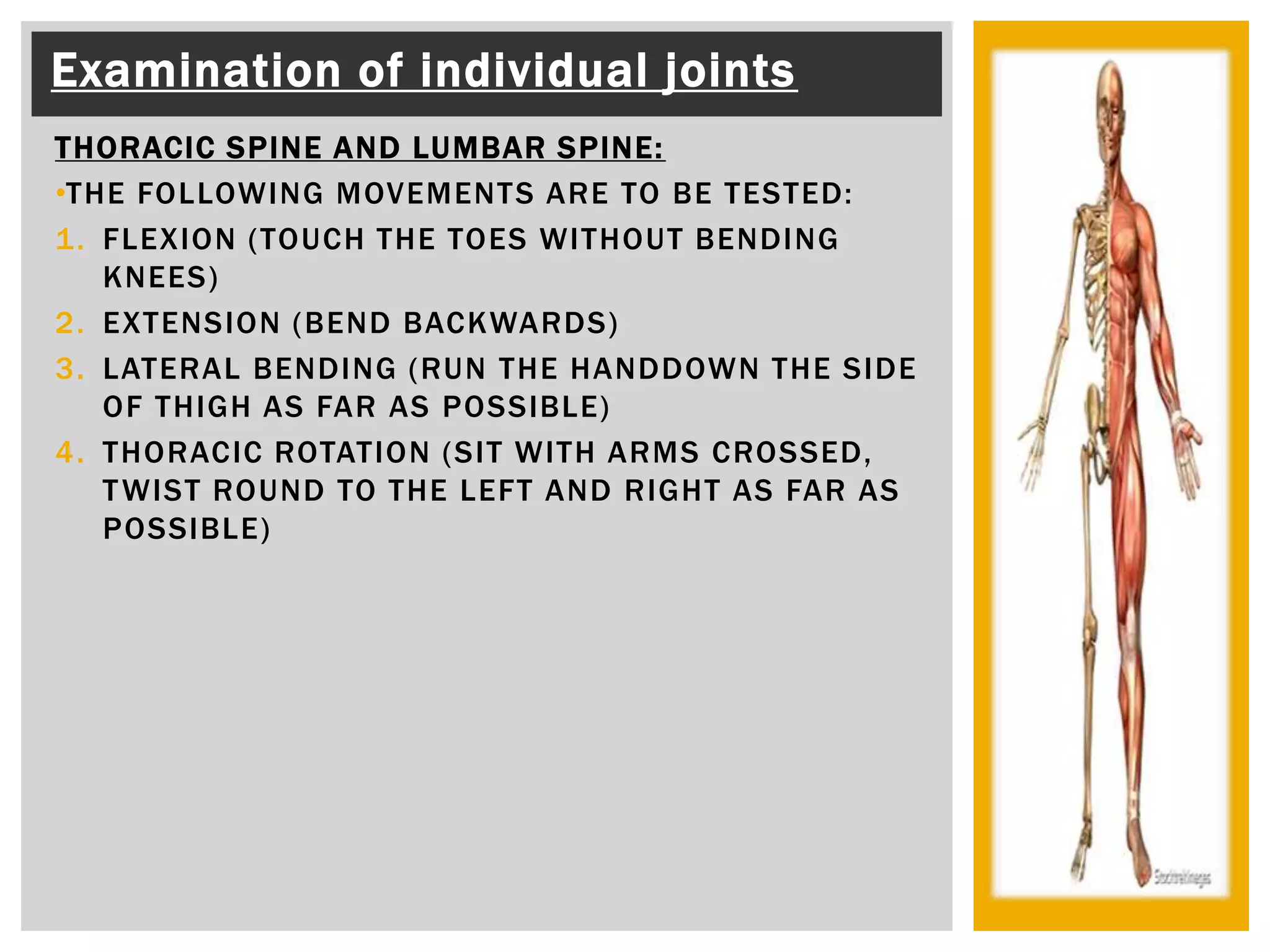 MUSCULOSKELETAL%20SYSTEM.pptx | Death, Injury, or Military Conflict | Sensitive Topics