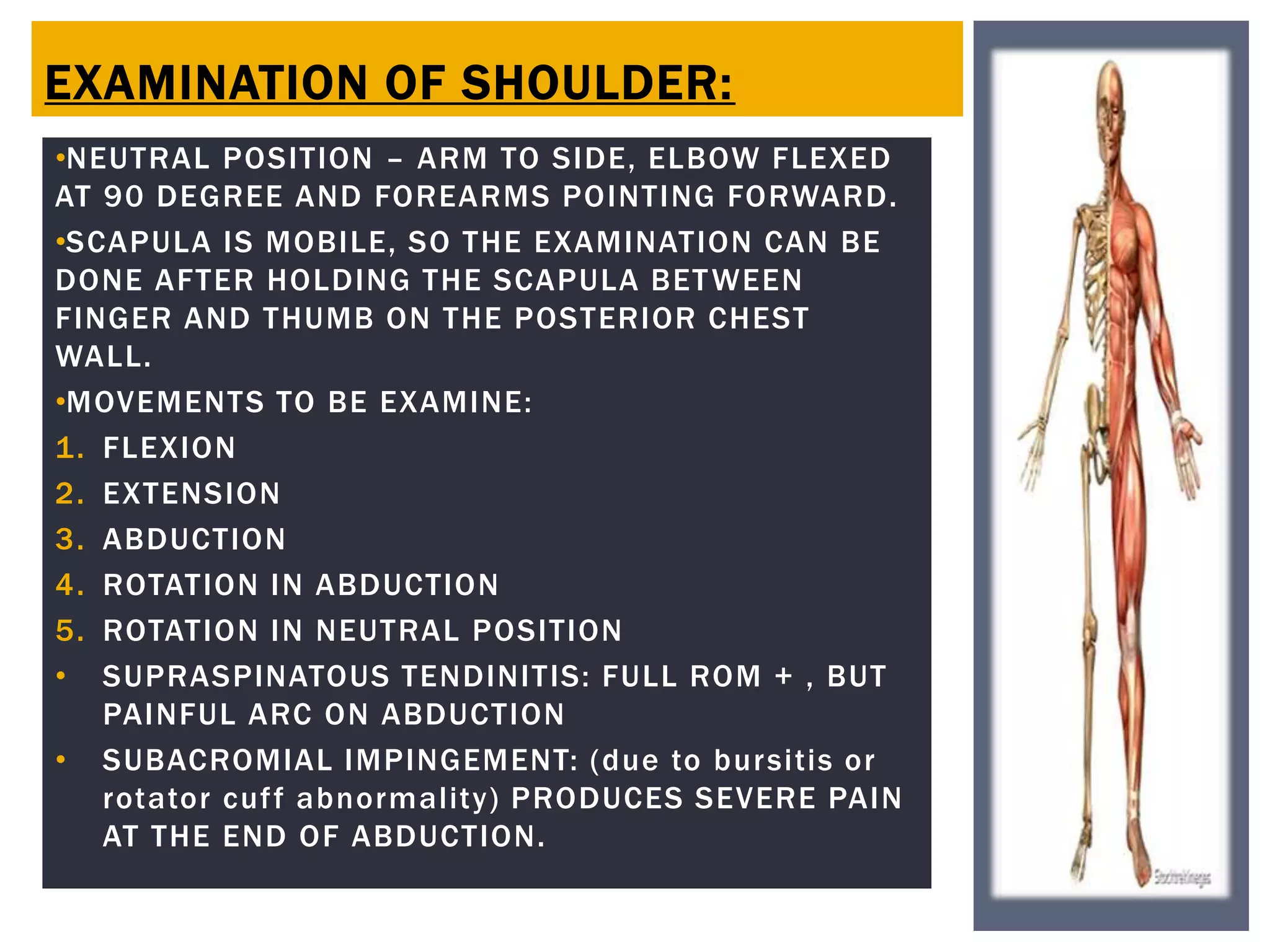 MUSCULOSKELETAL%20SYSTEM.pptx | Death, Injury, or Military Conflict | Sensitive Topics