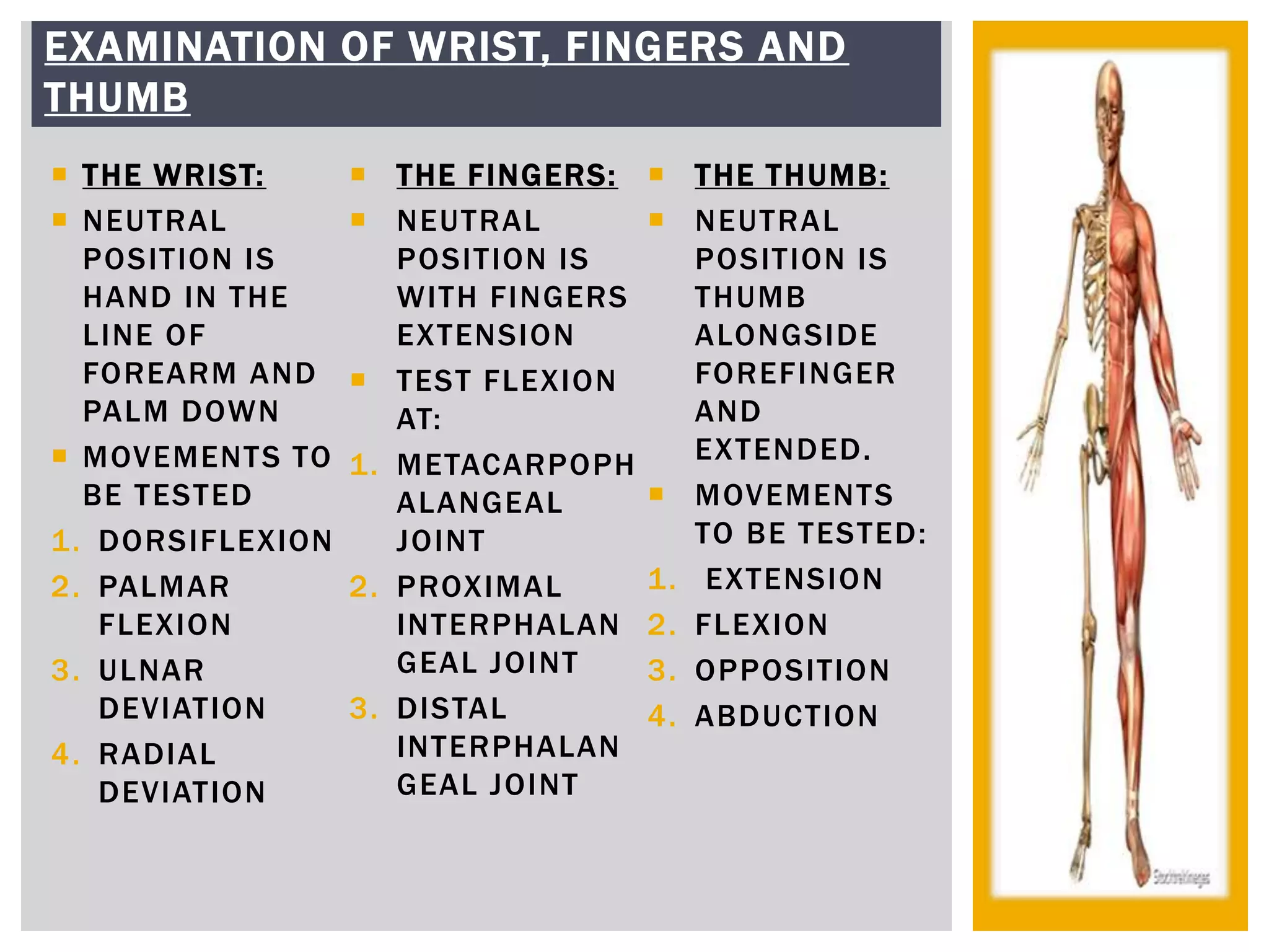 MUSCULOSKELETAL%20SYSTEM.pptx | Death, Injury, or Military Conflict | Sensitive Topics