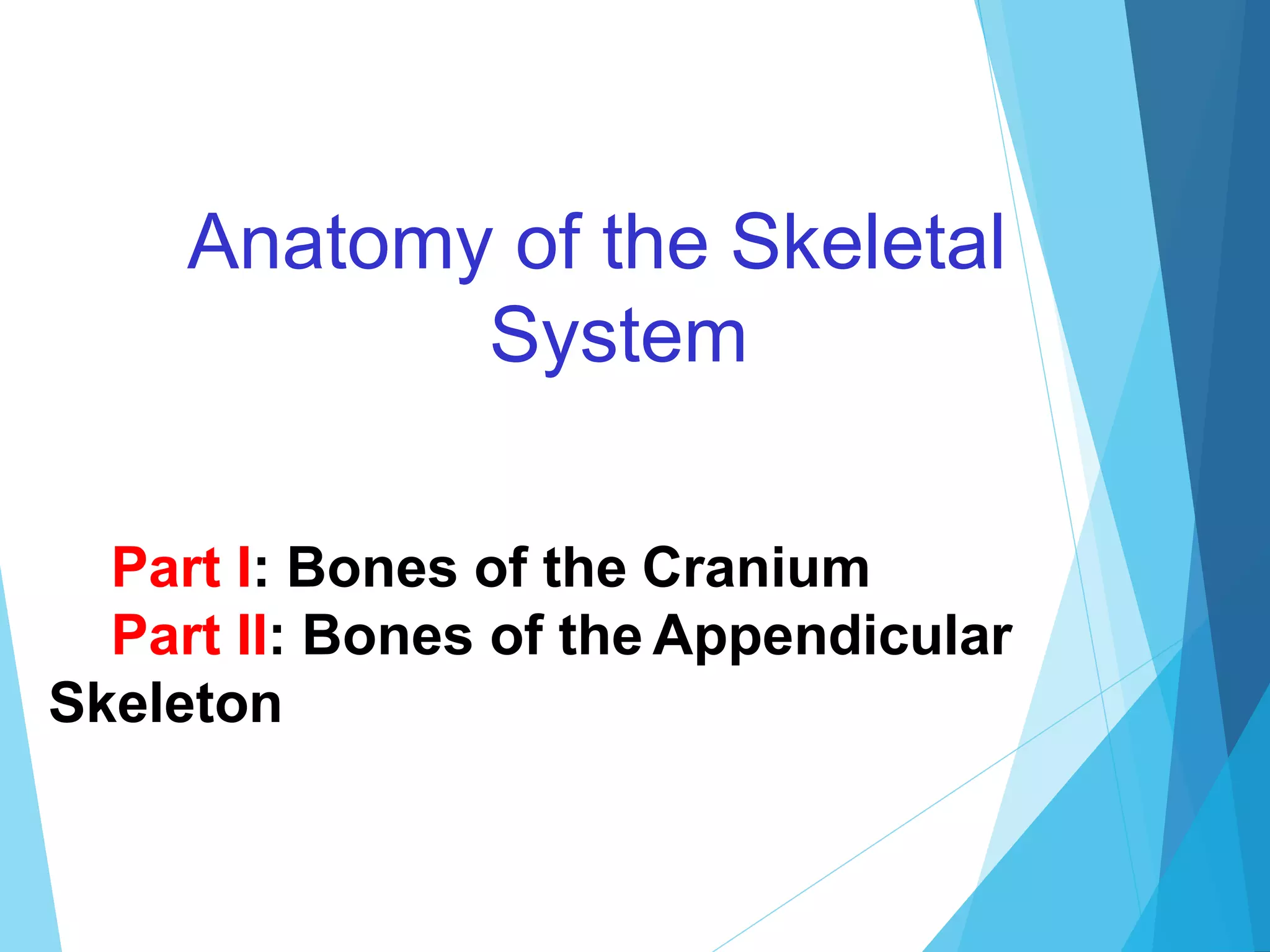 Musculoskeletal assessment | PPTX