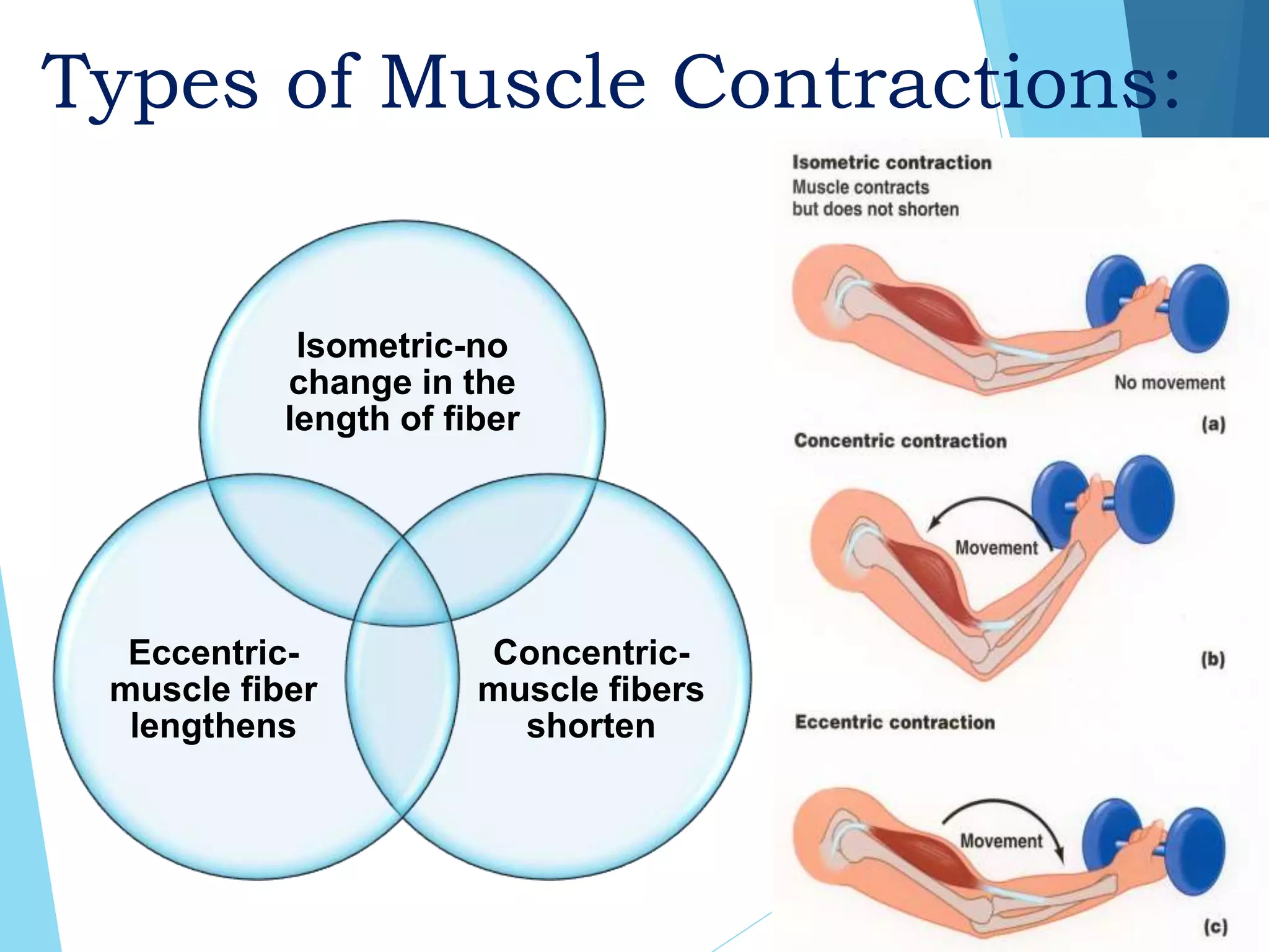 Musculoskeletal assessment | PPTX